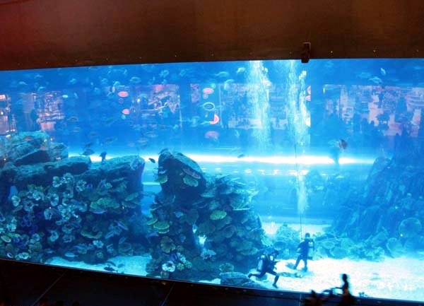 Top 5: The most amazing giant aquariums in the world | Avso