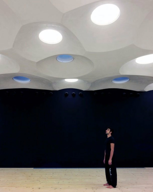 30 great ideas for original ceiling panel | Avso