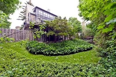 Eternal nature | Avso