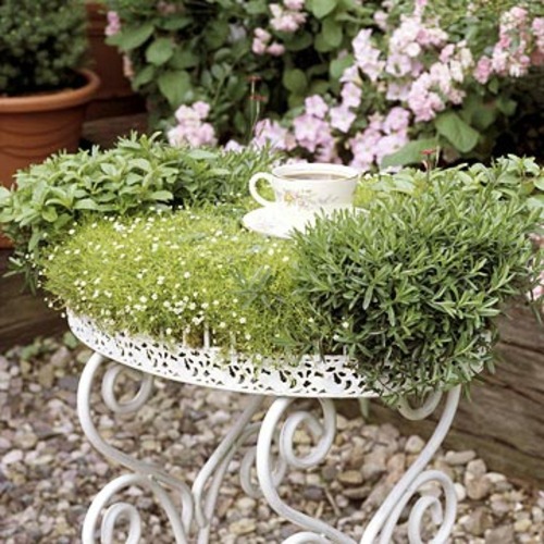 A mini garden design – great four mini-projects for you | Avso