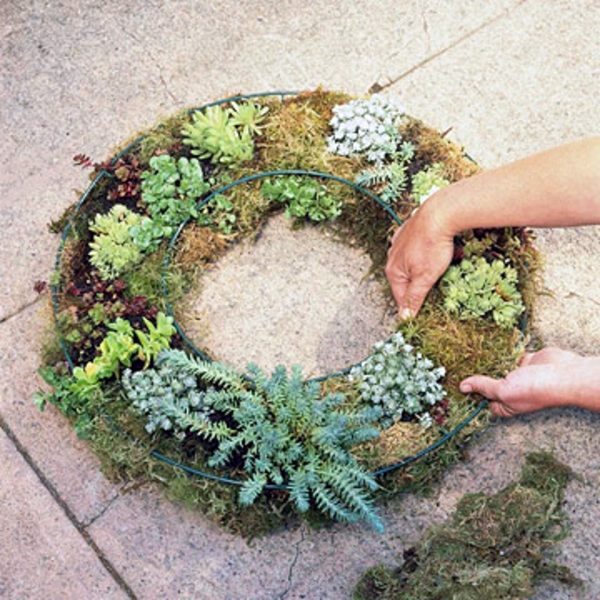 Garden Design: Plant a living wreath | Avso