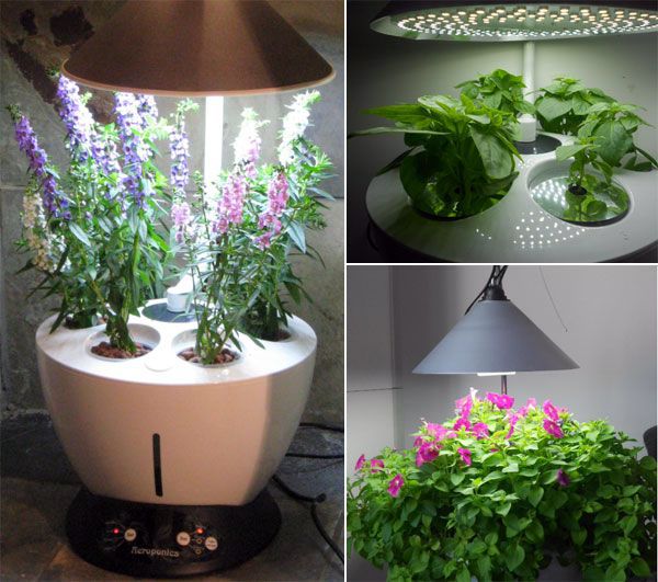 High-tech plant equipment | Avso