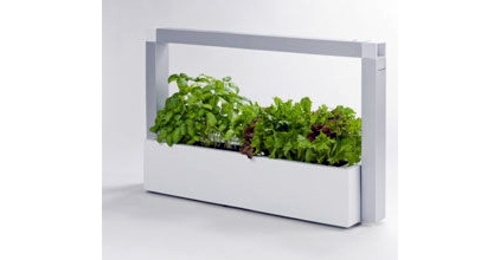 High-tech plant equipment | Avso